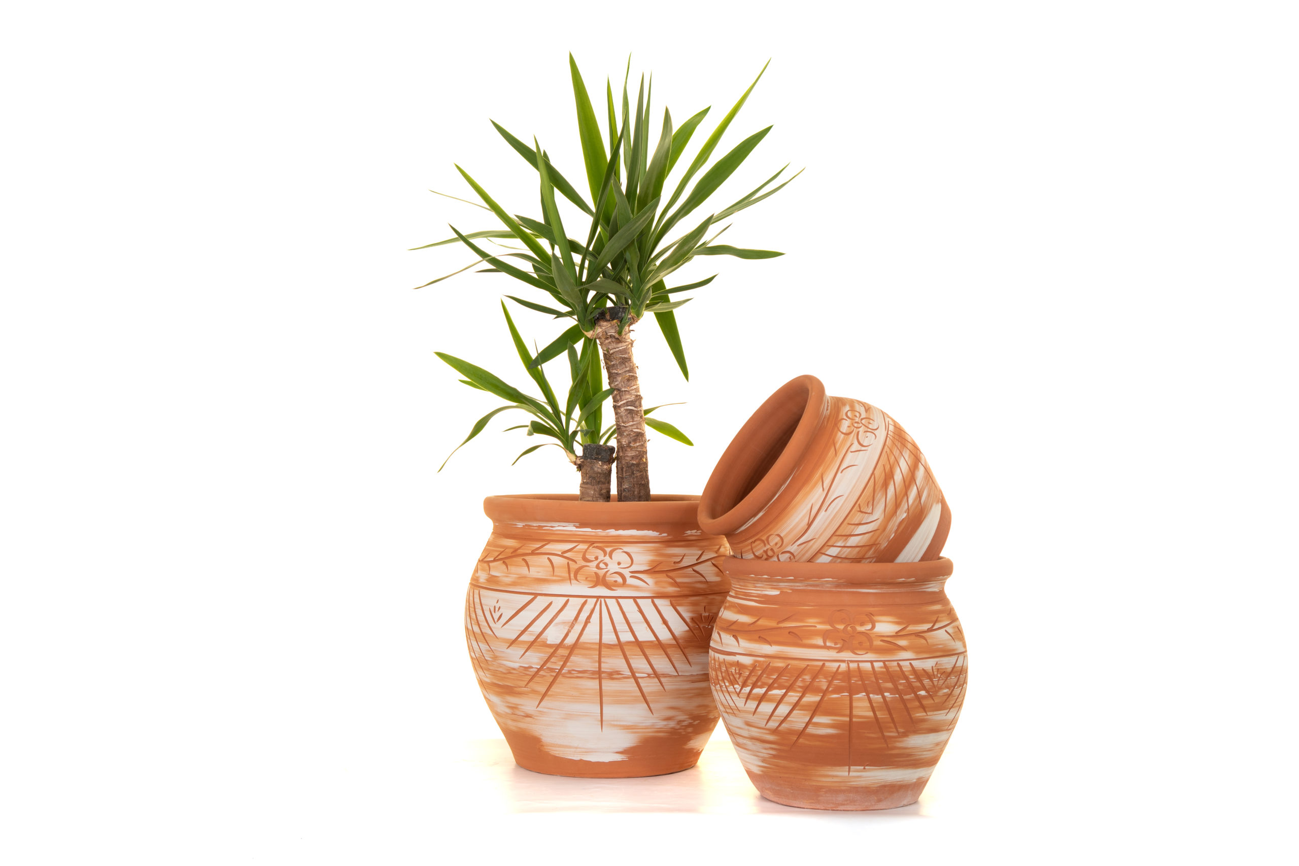 S103 CARVED TERRACOTTA - Arett Outlook