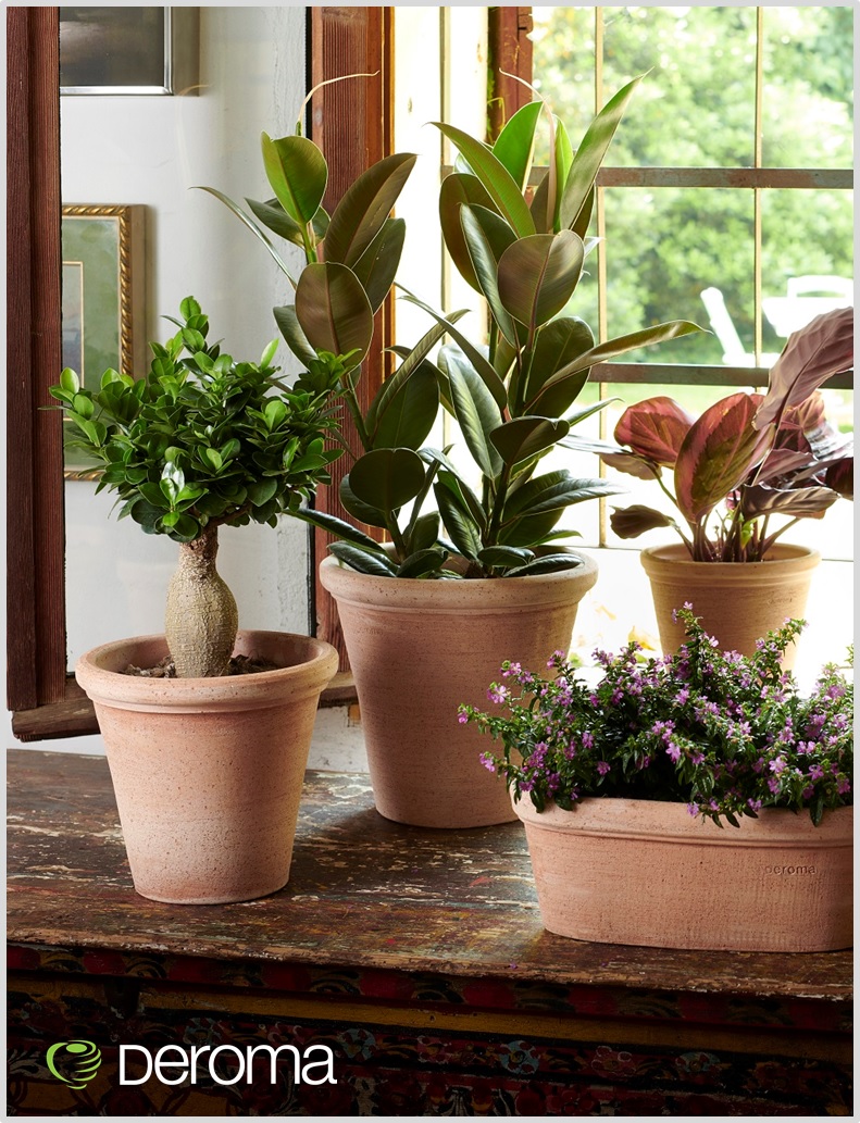 Terracotta Pottery from Deroma USA - Arett Outlook