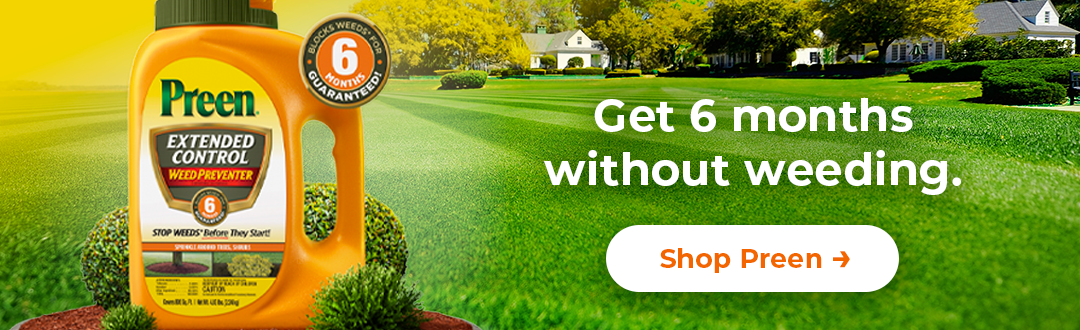 Shop-Preen-Weed-Banner - Arett Outlook