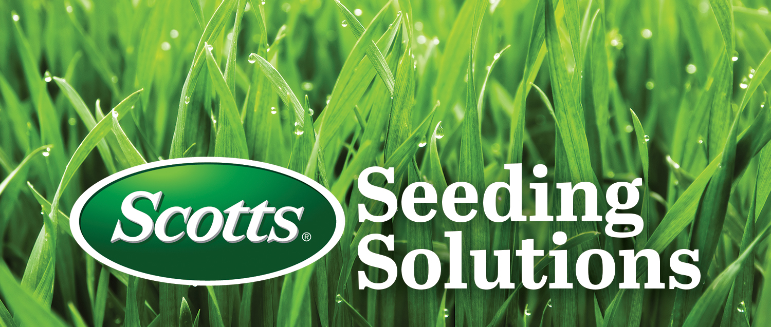 Seeding Solutions For All Your Lawn Care Needs - Arett Outlook