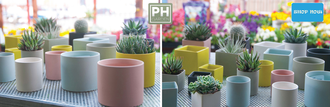 PACIFIC HOME AND GARDEN: ON THE CUTTING EDGE OF TRADITION - Arett Outlook